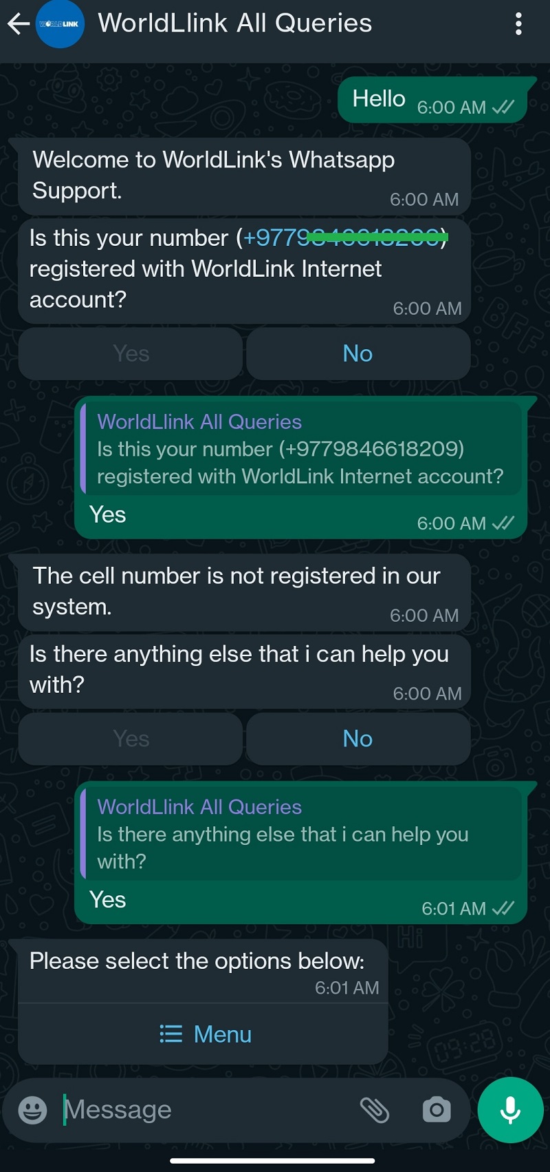 WorldLink launches AI Chatbot to provide customer services