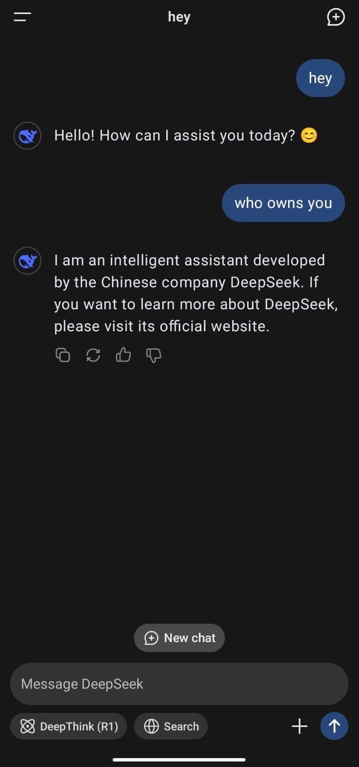 DeepSeek AI achieves raging success, how to use? All details