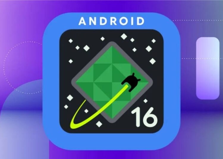 MSM Video App Subscription, Payment Options, and Movie Rent